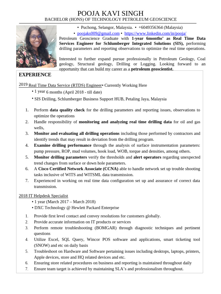 Petroleum Geoscience Career Profile | PDF