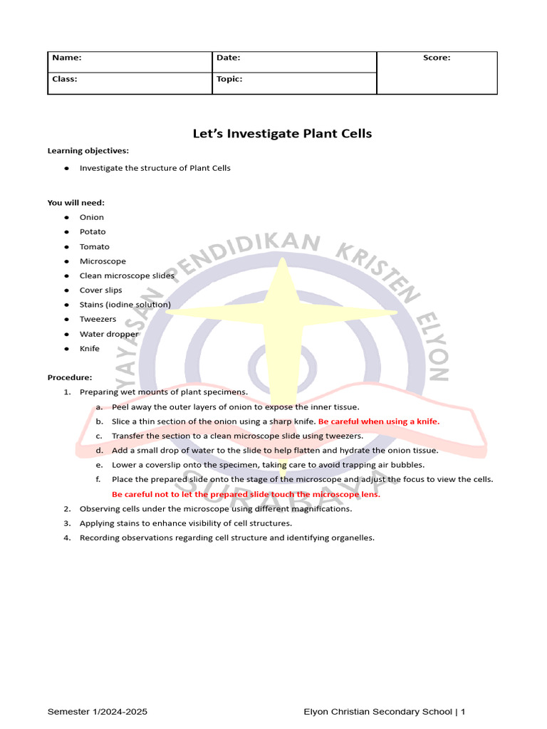 Investigating Plant Cell Structures | PDF