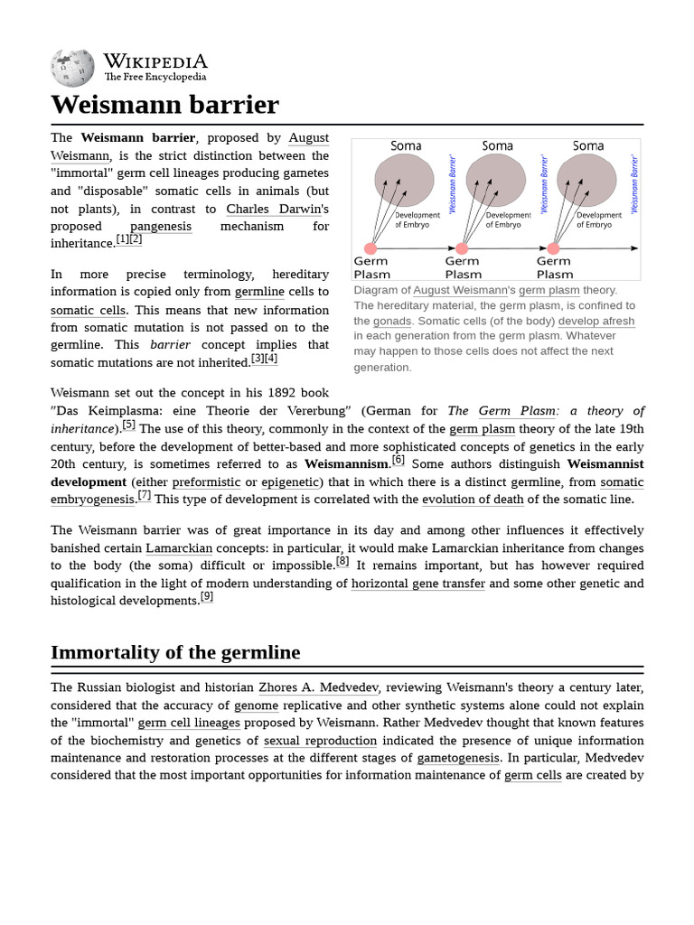 Weismann_barrier | PDF | Genetics | Biological Processes