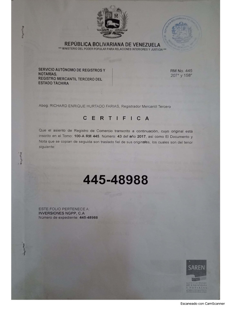 Documento Inversiones NGPP | PDF