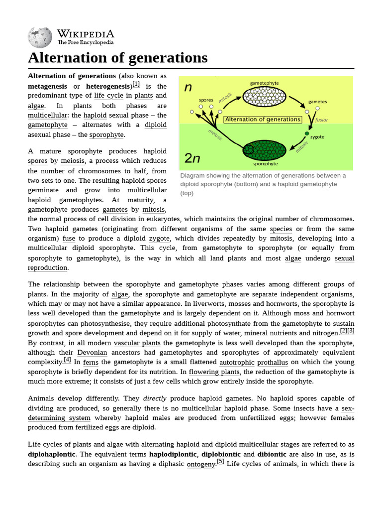 Understanding Alternation of Generations | PDF | Spore | Reproduction