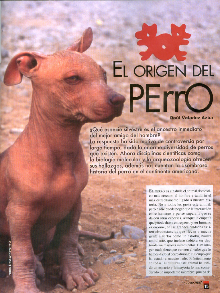 El Origen Del Perro | PDF