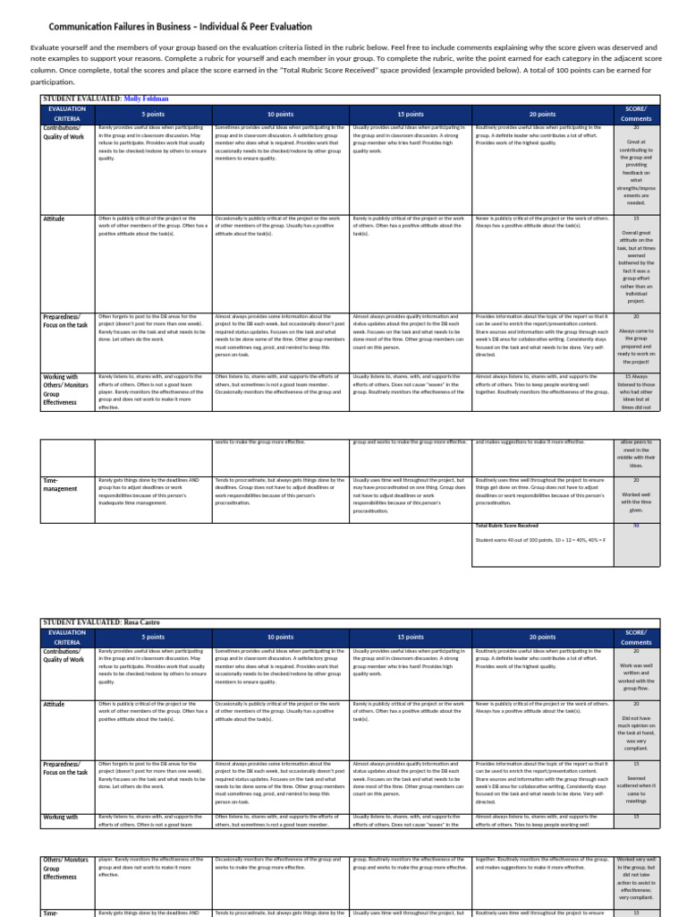 CommunicationsFailuresinBusinessGroupProject Individual-Peer Assessment ...