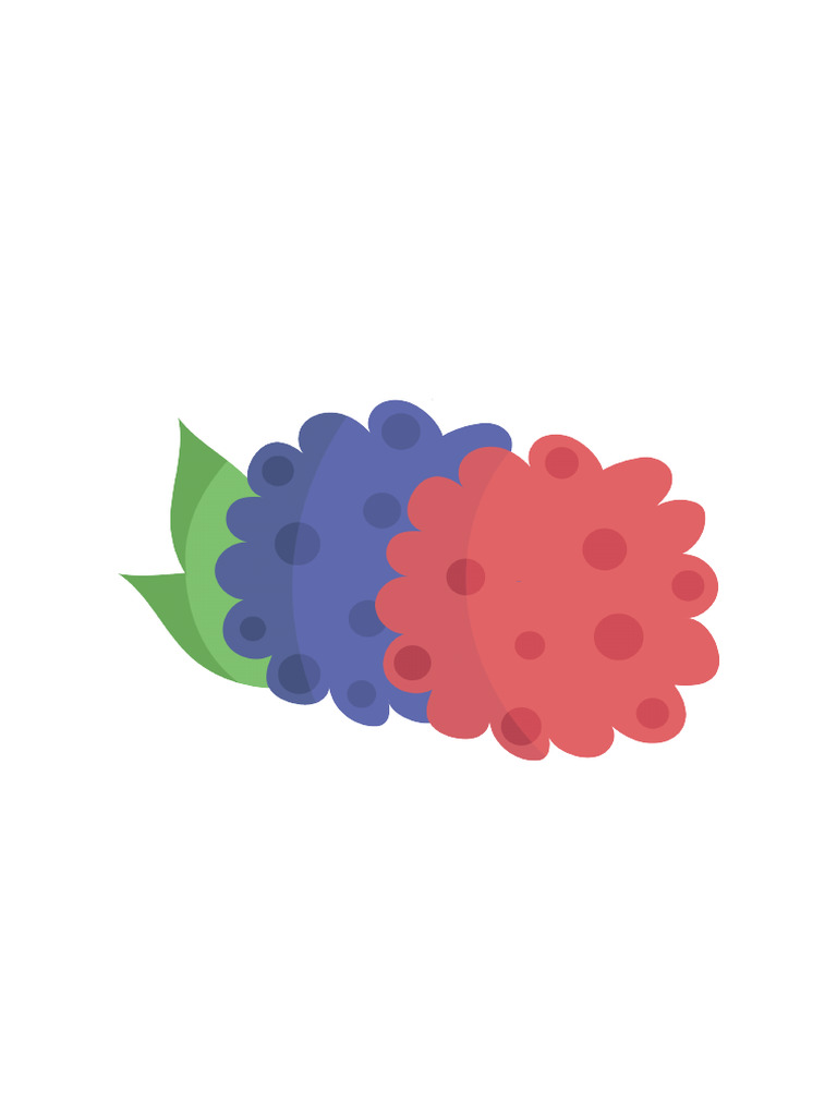 Berry | PDF