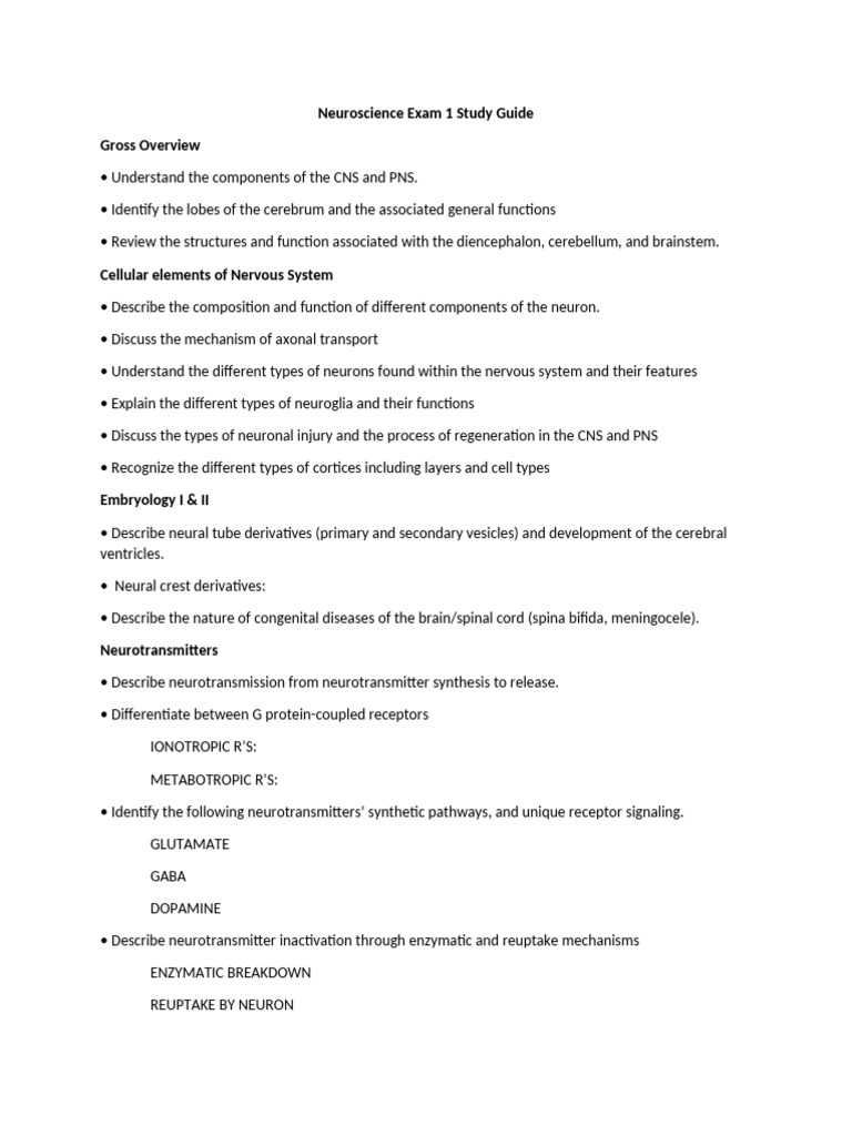 EXAM 1 STUDY GUIDE (1) | PDF | Brainstem | Neuron