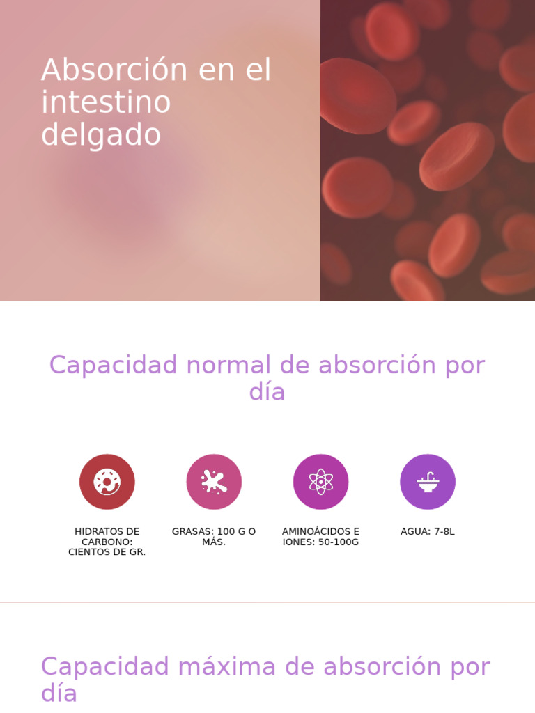 Proceso de absorción en el intestino delgado | PDF | Digestión | Bioquímica