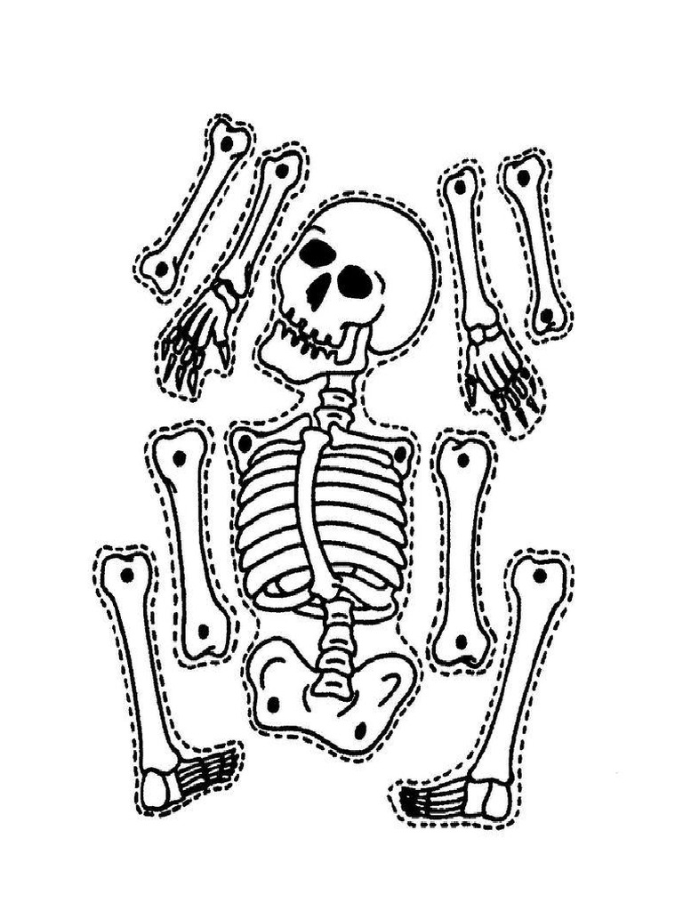 skeleton for project | PDF