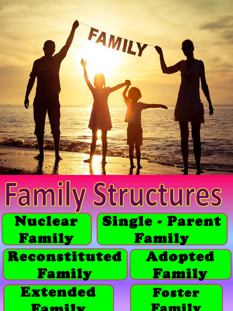 Chapter 9 - Social Aspect (Family) | PDF