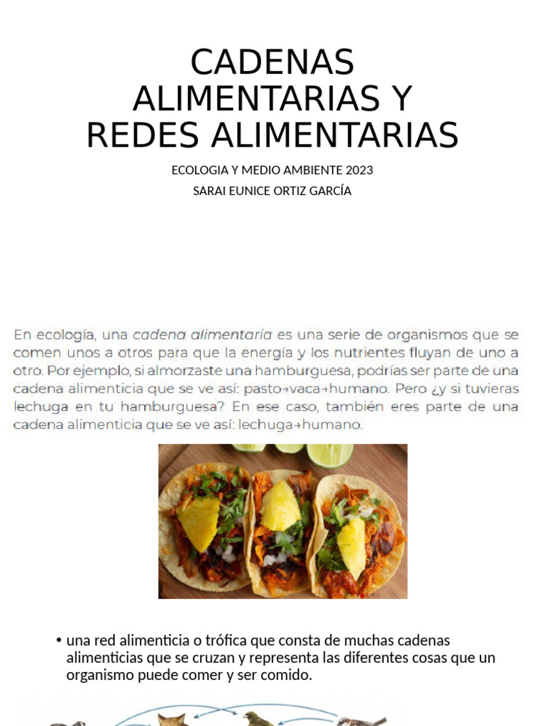 Cadenas Alimentarias y Redes Alimentarias | PDF