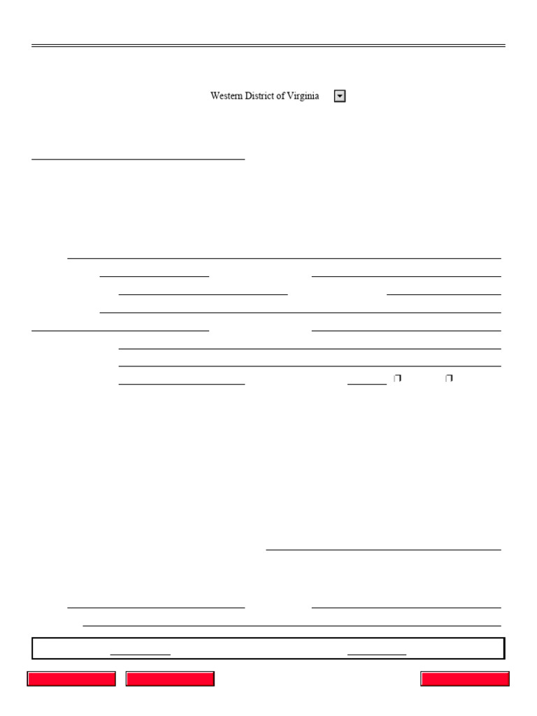 Bail Information Sheet Mei Lin | PDF | Criminal Law | Crimes