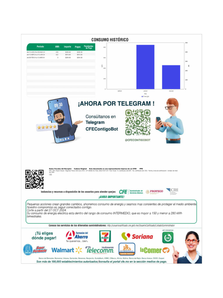 Recibo Cfe Reverso | PDF