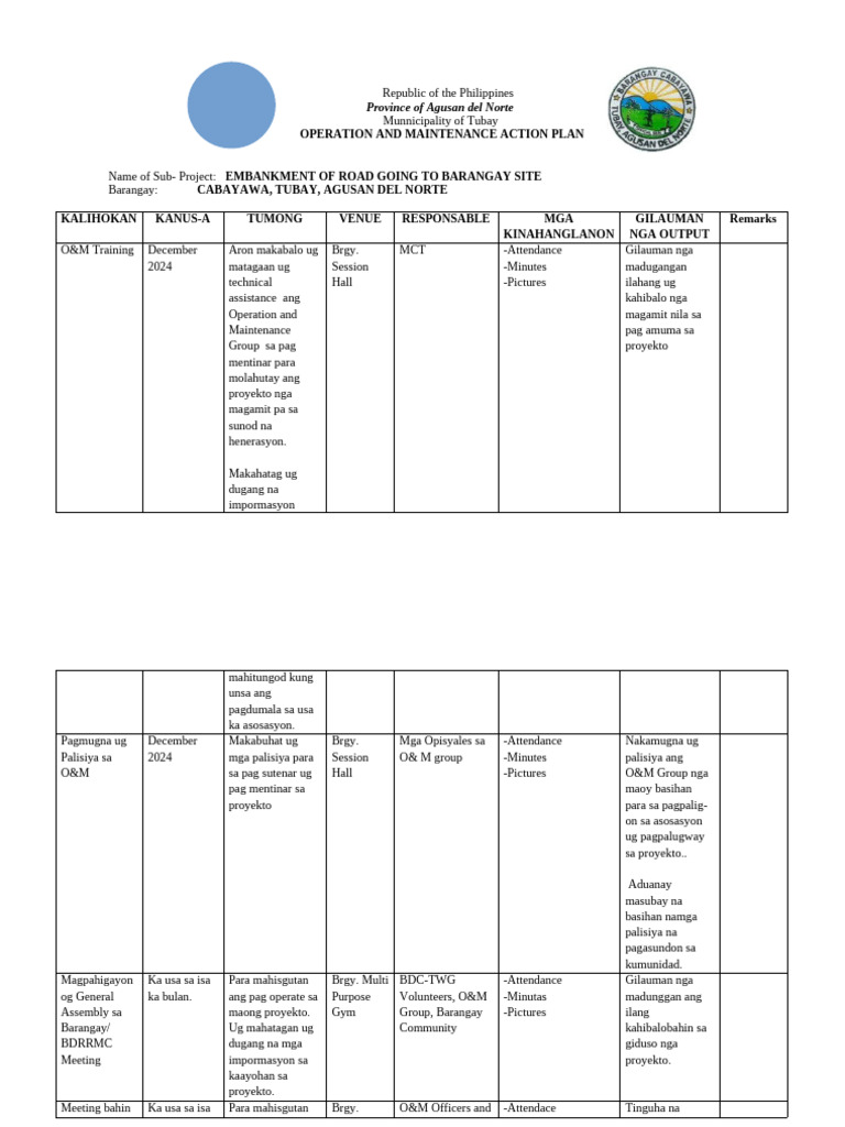 Om Action Plan 1 | PDF