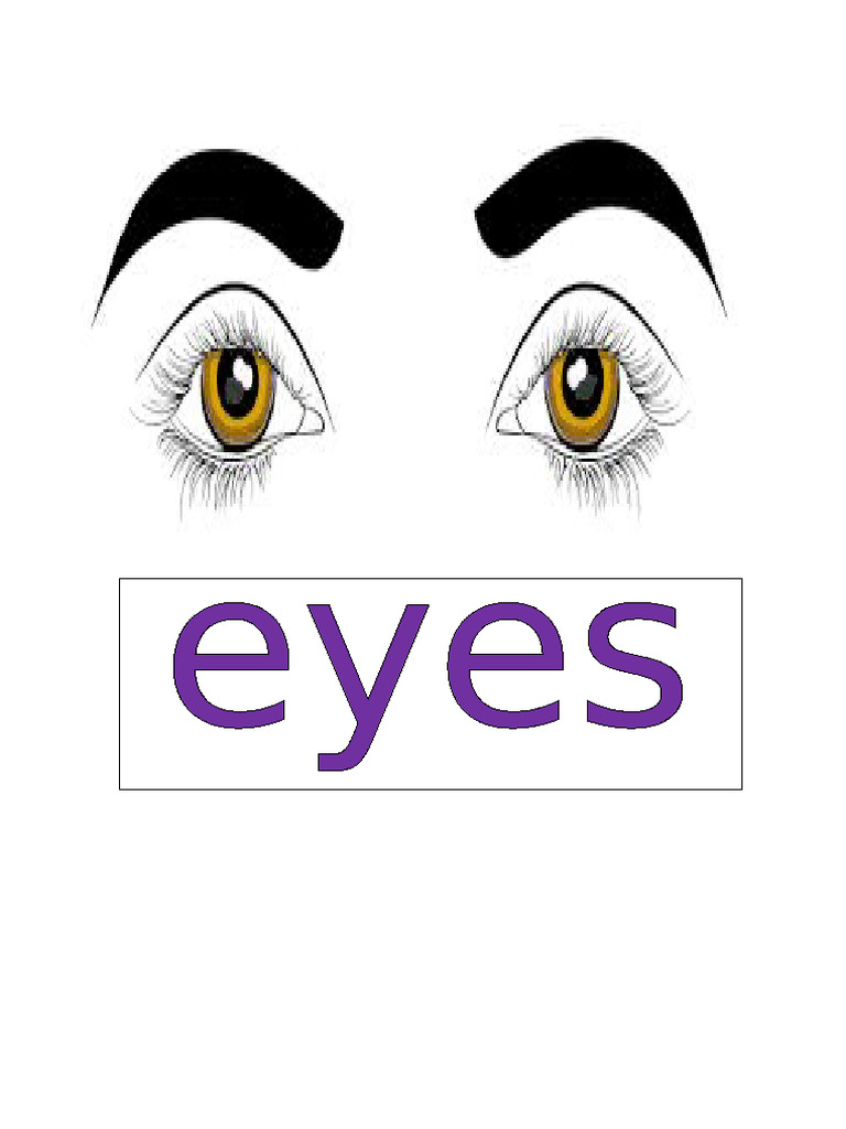 Eyes | PDF