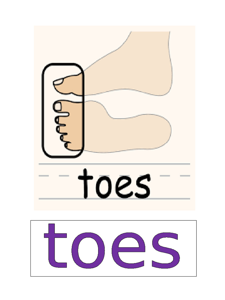Toes | PDF