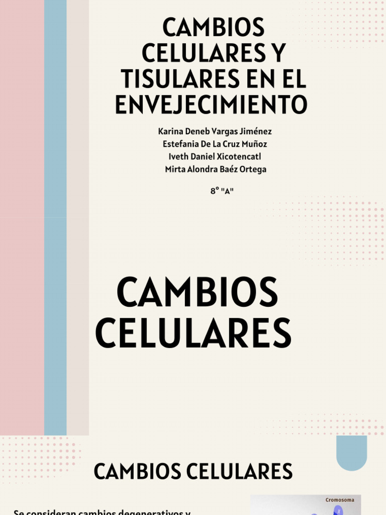 Cambios Celulares y Tisulares en El Envejecimiento | PDF