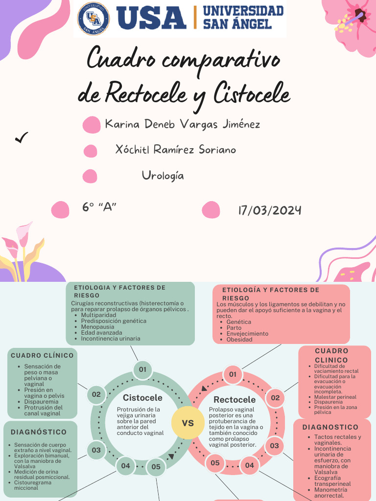 Cistocele y Rectocele | PDF | Anatomia sexual | Pelvis