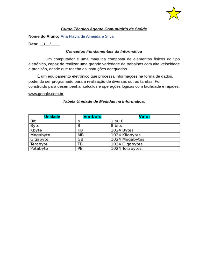 Conceitos Fundamentais de Informática - Ana Flávia | PDF