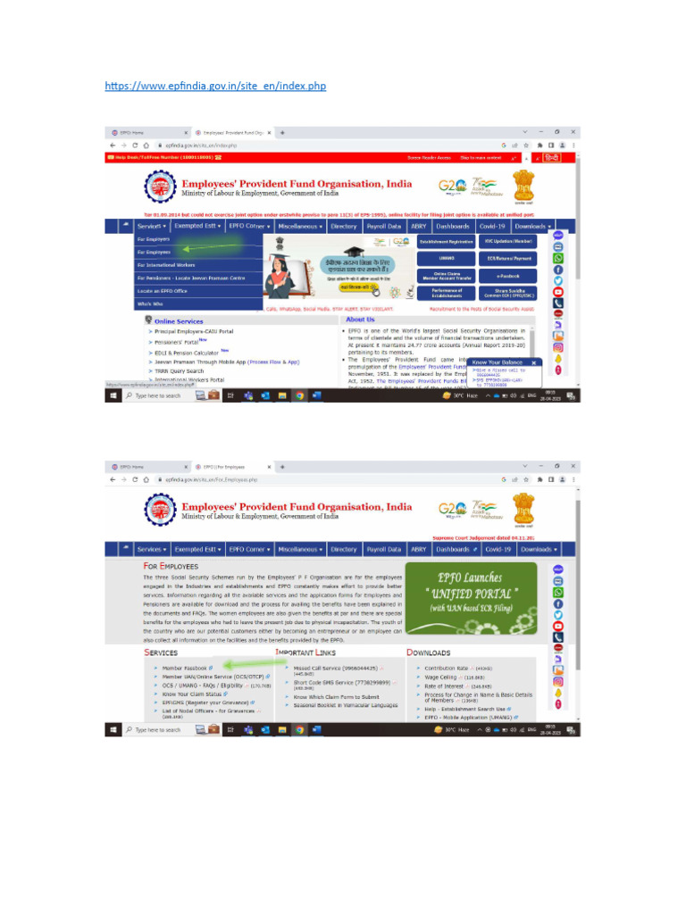 Pf Passbook View Process Map | PDF