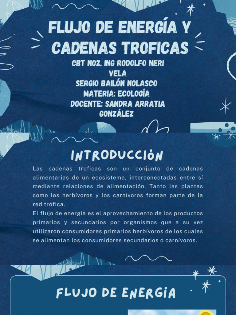 Flujo de Energía y Cadenas Tróficas | PDF | Red alimentaria | Naturaleza