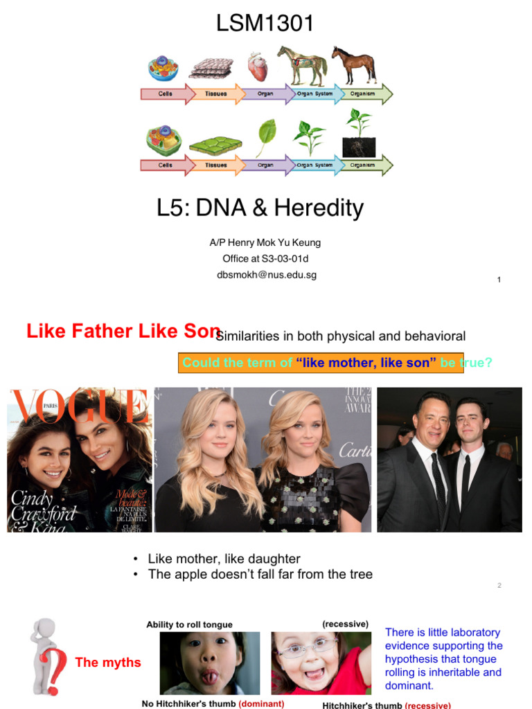 DNA+and+Heredity Notes | PDF