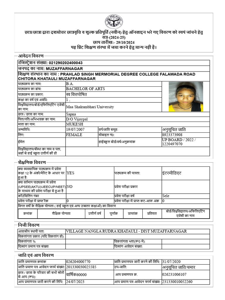 Summary Report Sapna | PDF