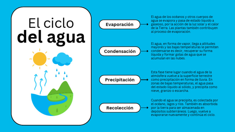 Lluvia de Ideas Del Ciclo Del Agua Ilustrativo Celeste y Blanco | PDF
