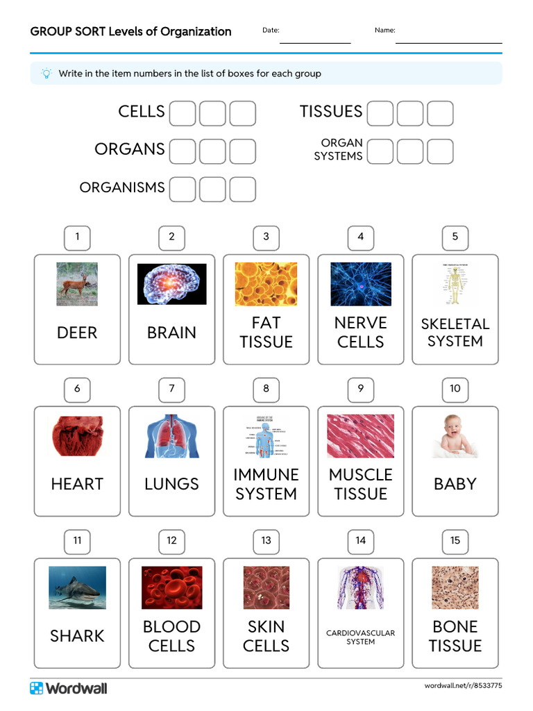Levels of Biological Organization | PDF