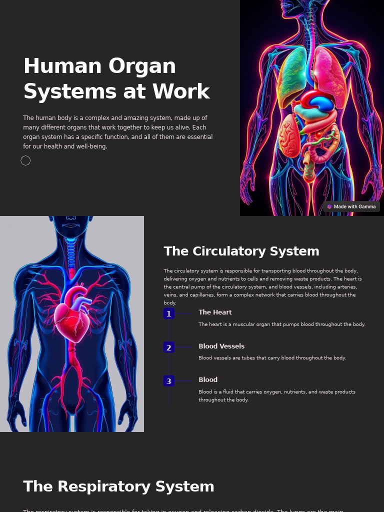 Overview of Human Organ Systems | PDF | Human Body | Respiratory System