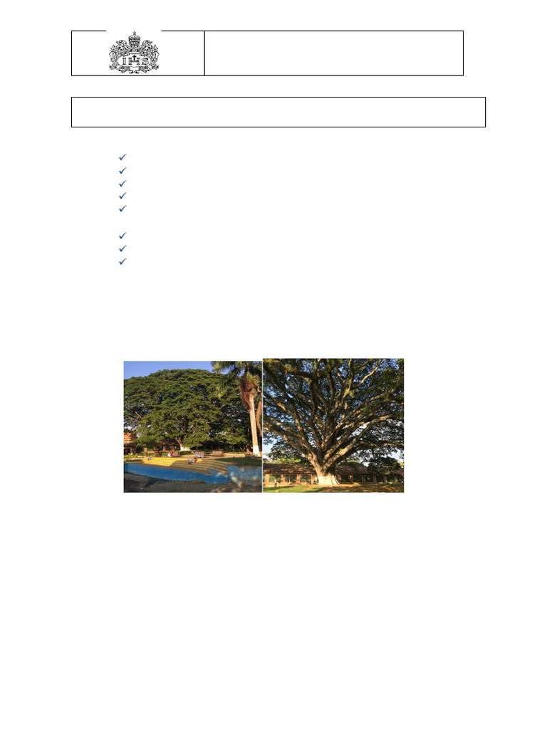 Luca y El Samn Entre La Vida y La Muerte | PDF | Medicina de Cuidados ...