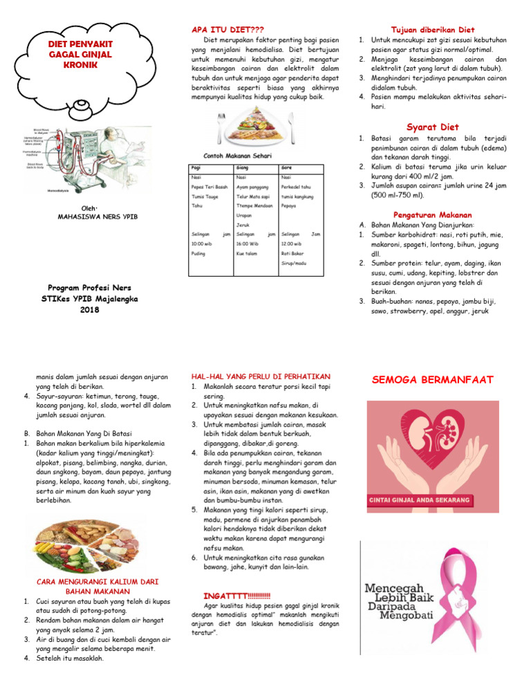 390143044 Leaflet Nutrisi Ckd | PDF