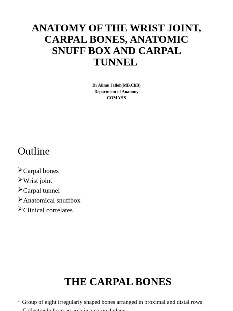 Anatomy of The Wrist Joint, Carpal Bones 2 | PDF | Hand | Thumb