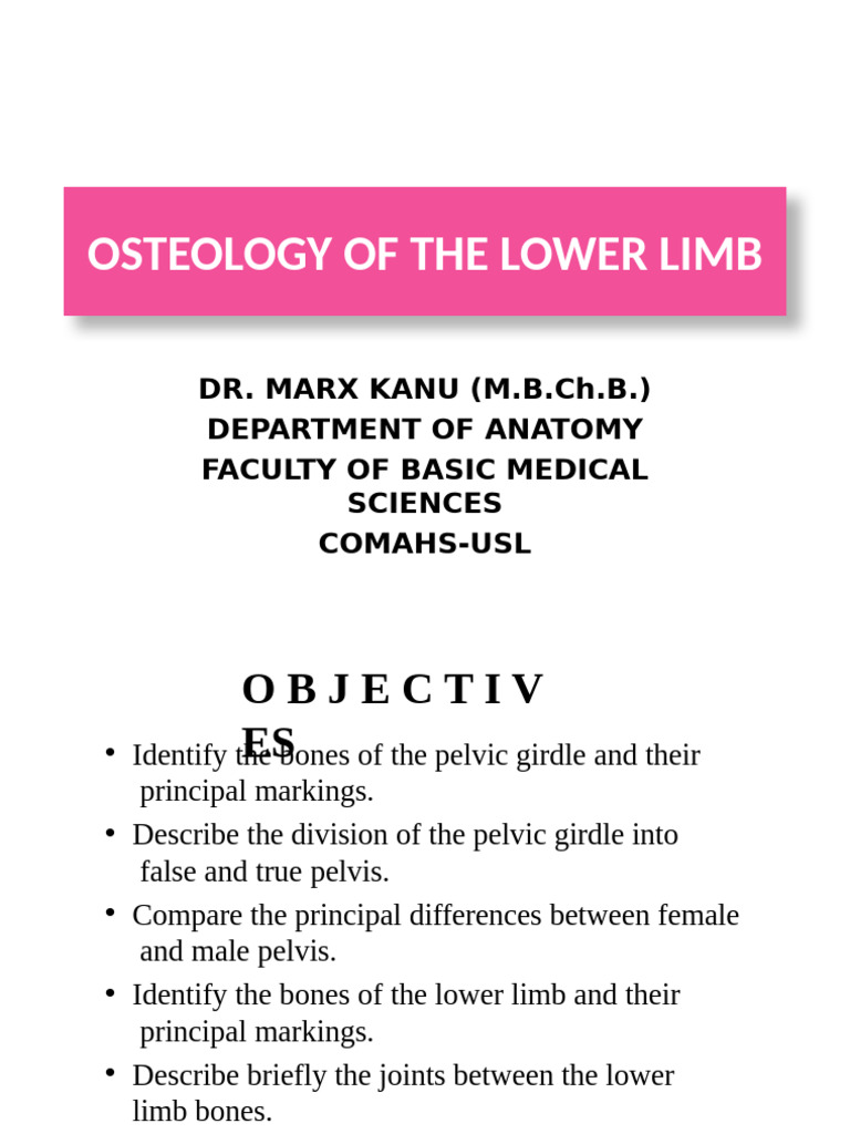 Osteology of The Lower Limb | PDF | Pelvis | Foot