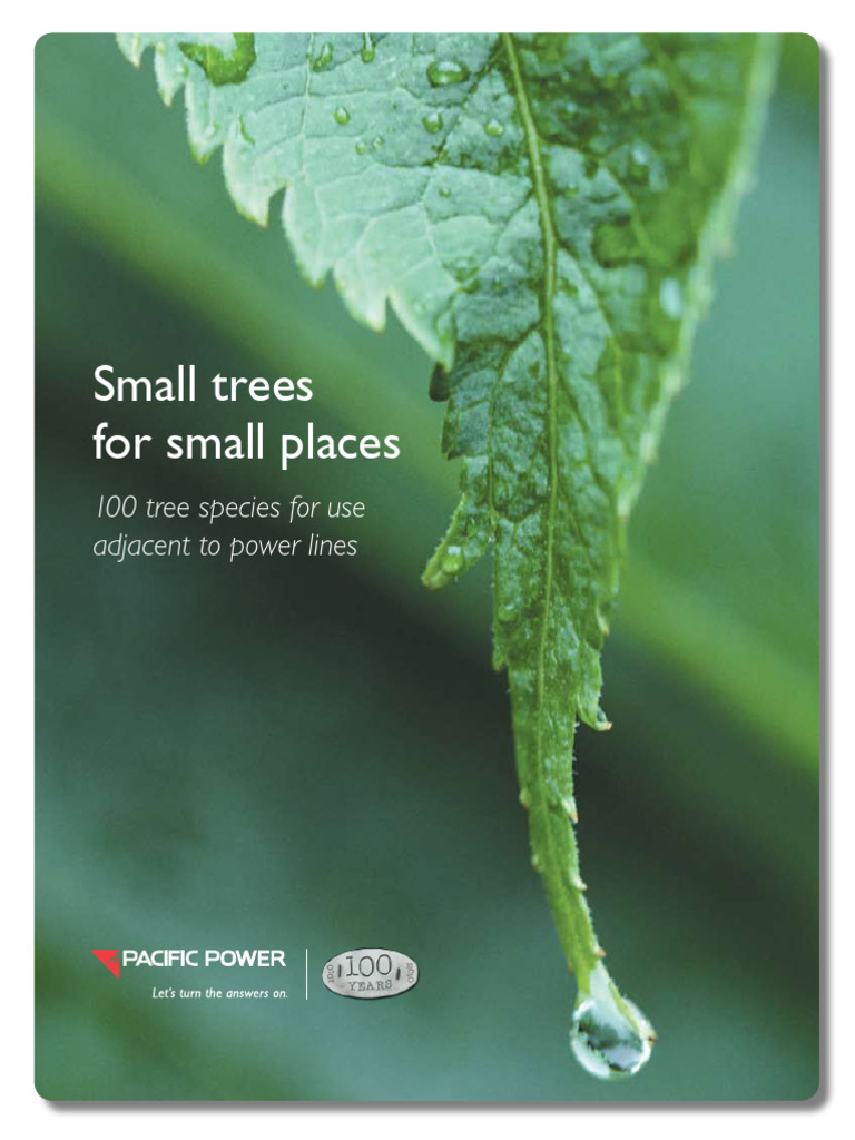 Small Trees for Small Places Pacific Power Pamphlet | PDF | Maple | Pruning