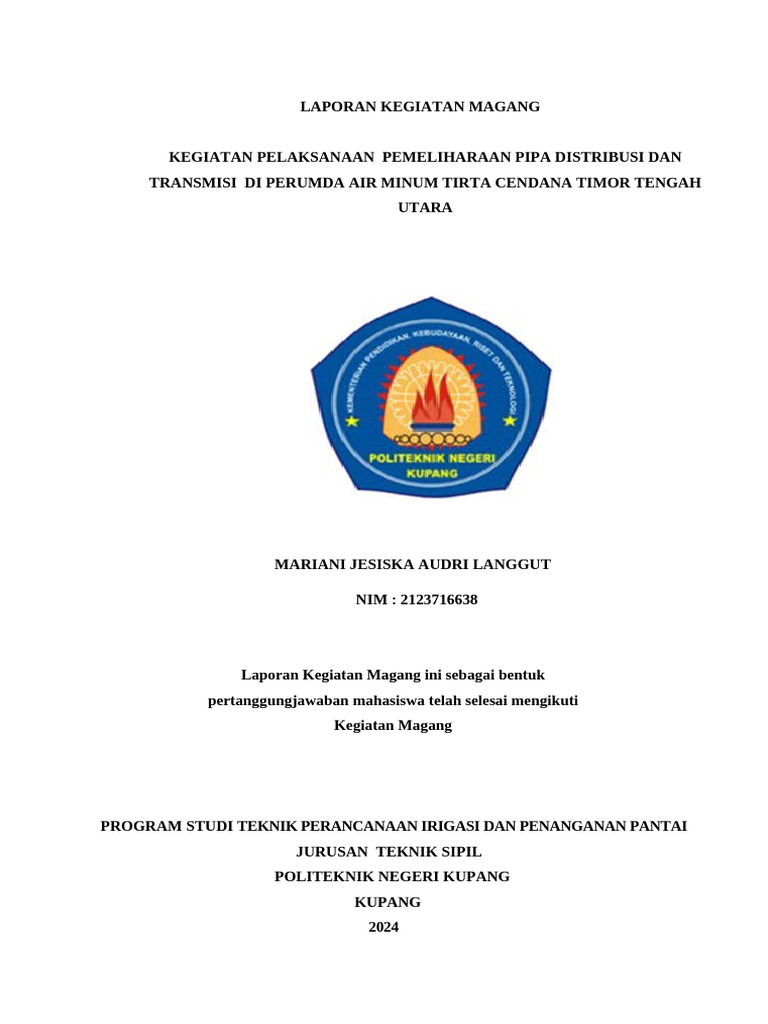 Laporan Kegiatan Magang - Pdam Ttu | PDF