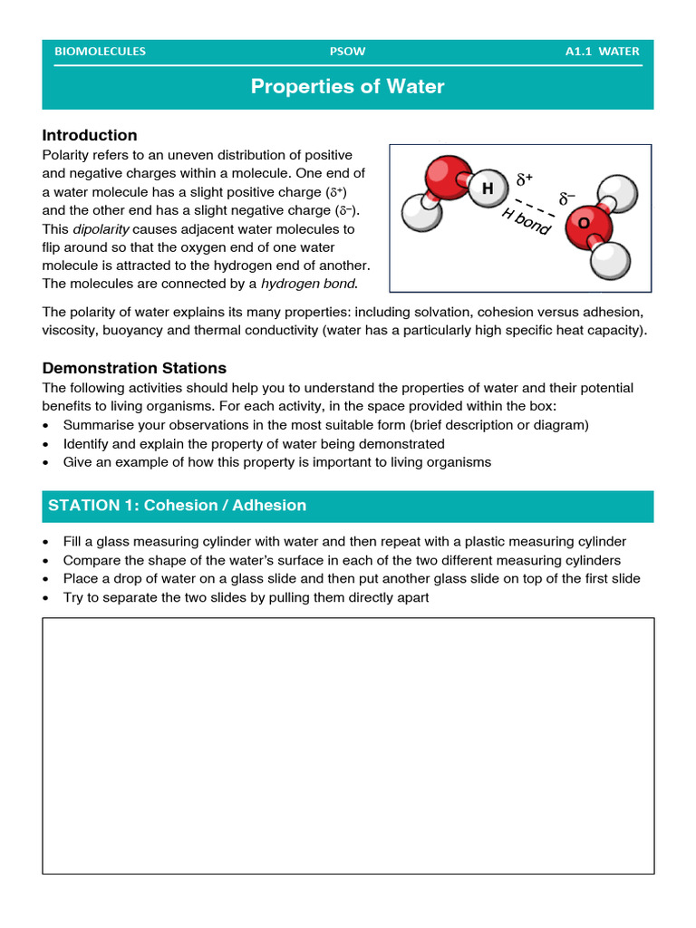 Properties of Water | PDF | Water | Solvation