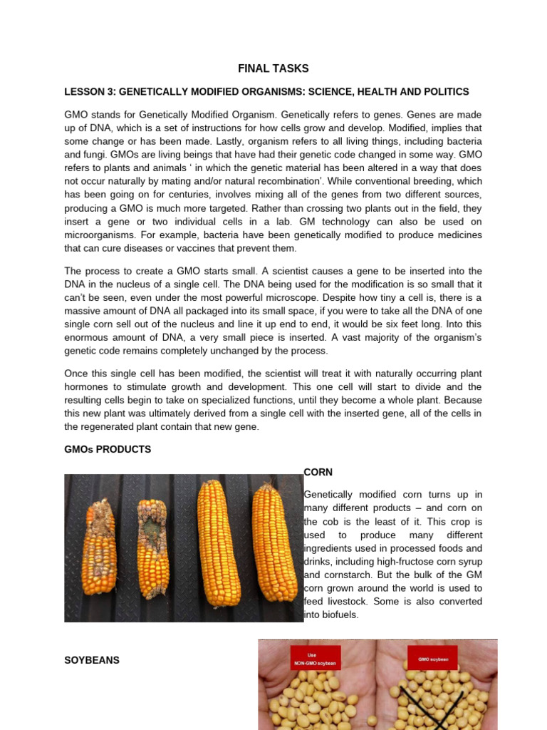 STS - Final Tasks (Genetically Modified Organisms) - DONE | PDF ...