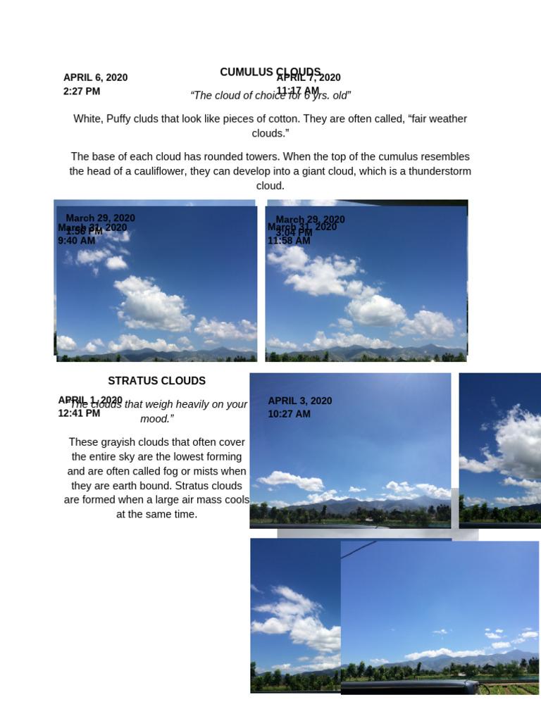 NATSCI - Activity Clouds - DONE | PDF | Cloud | Atmospheric Sciences