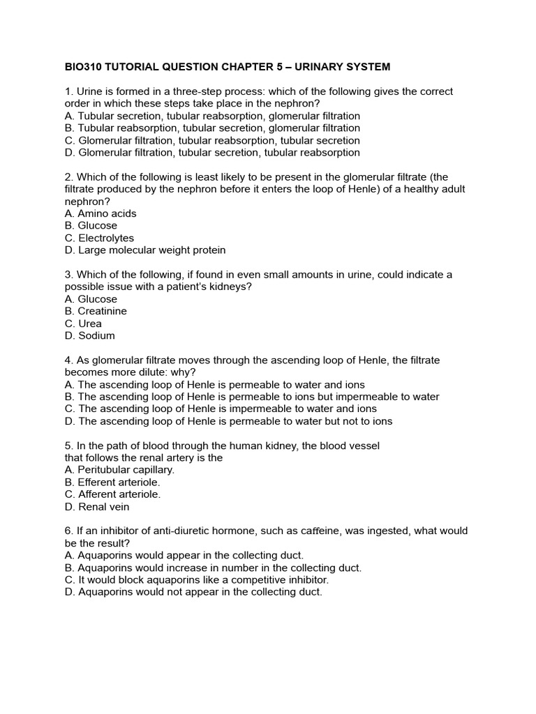 Urinary System Tutorial Questions | PDF | Kidney | Organ (Anatomy)