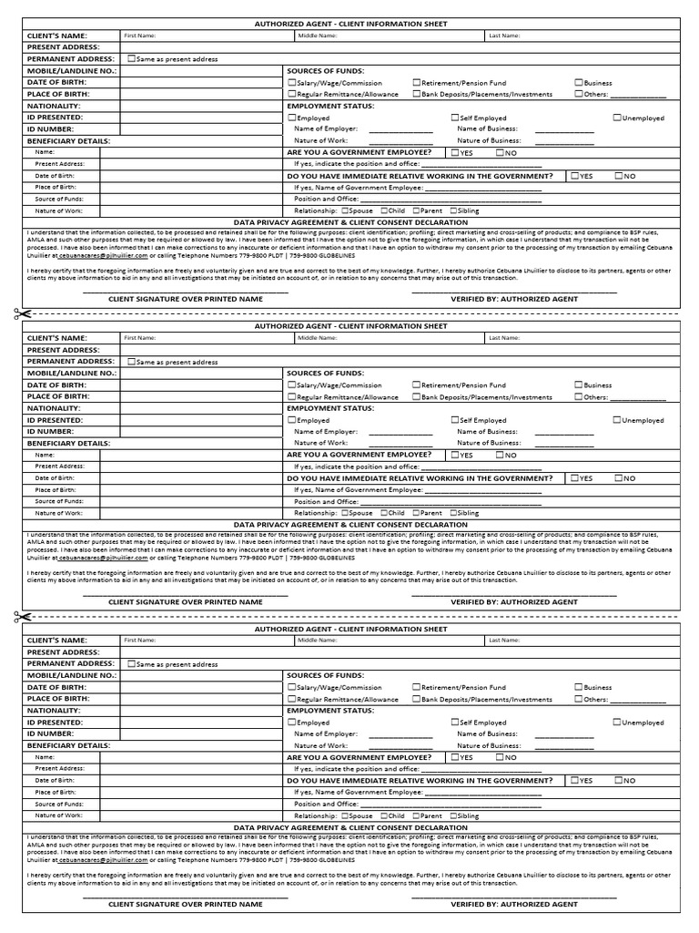 Client Information Sheet Form | PDF | Employment | Business