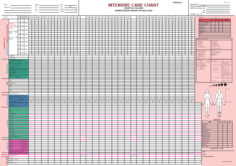 Intensive Care Patient Monitoring Chart | PDF | Blood Pressure ...