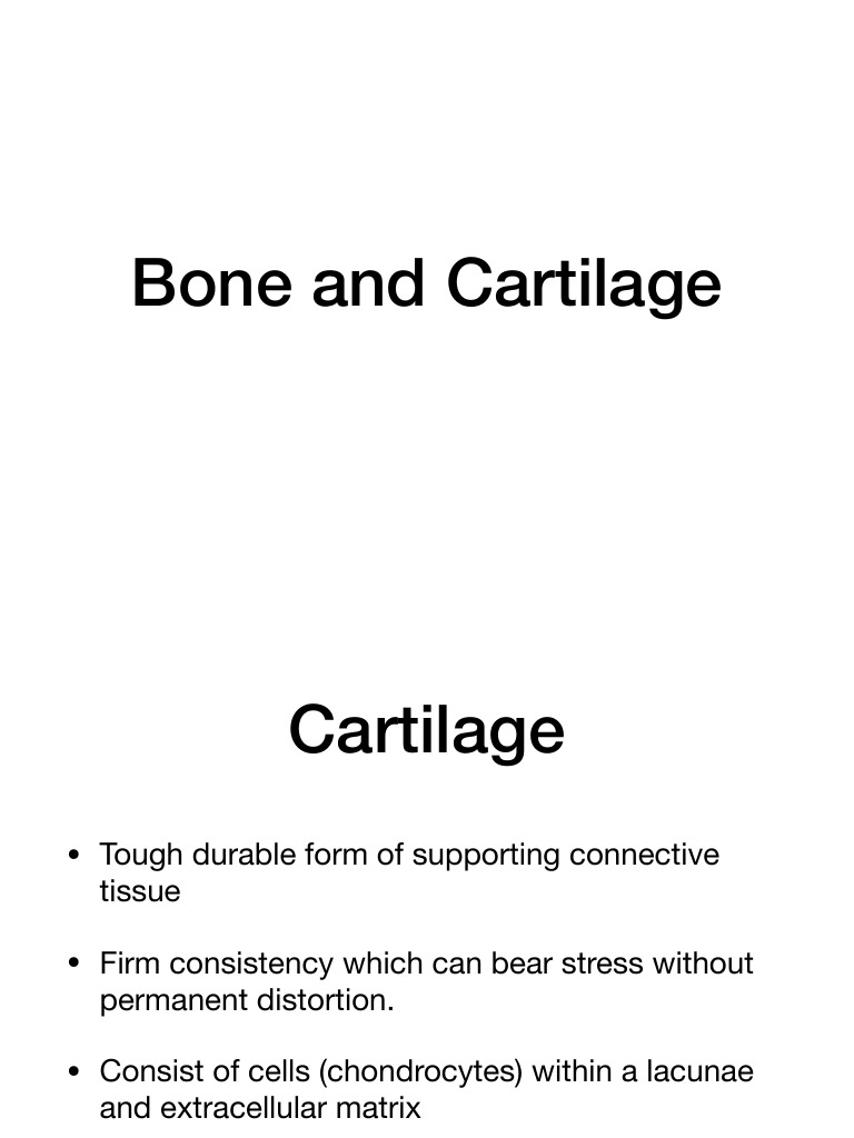 Lesson 5 - Bone and Cartilage | PDF | Bone | Cartilage