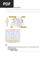 Homeostasis A2 Revision Topical Markhint MS | PDF