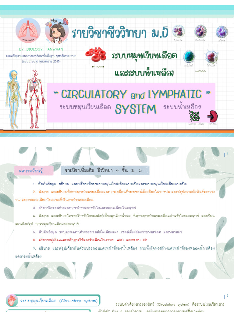 Slide-Circulatory and Lymphatic System | PDF