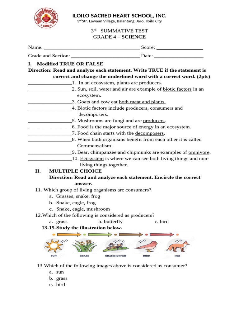 Grade 4 Science 3rd Summative Test | PDF | Ecosystem | Herbivore