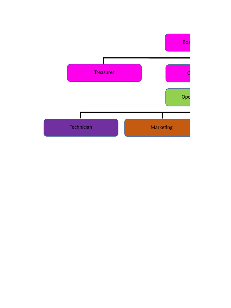 Suggested Organizational Chart | PDF | Business | Corporate Governance