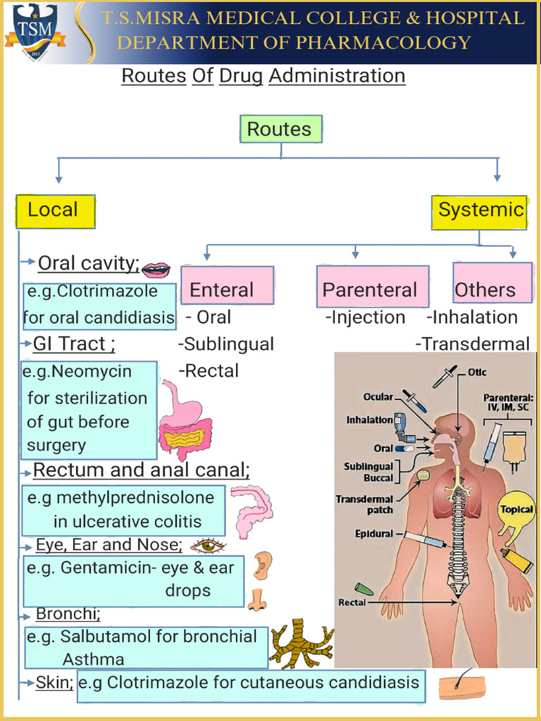 Pharma Flex Detection Overview | PDF