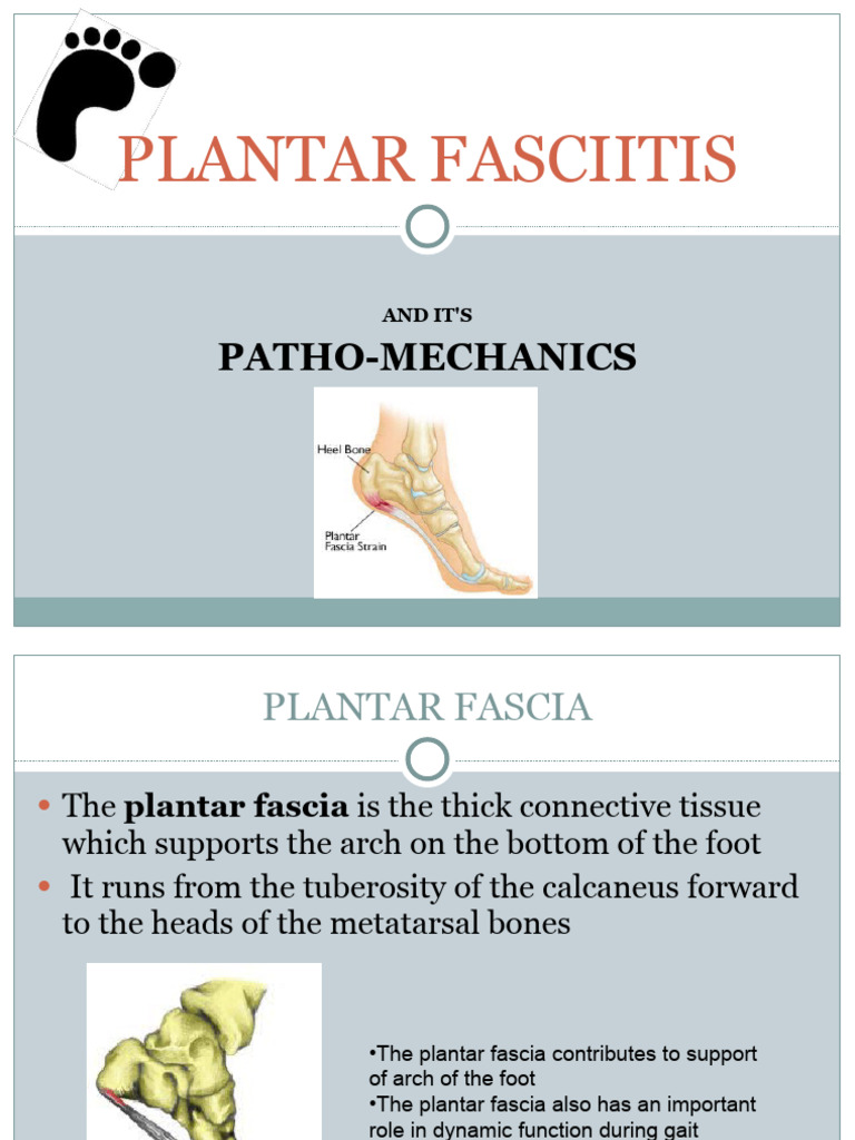 Plantarfasciitis 111226193928 Phpapp02 | PDF | Foot | Human Anatomy