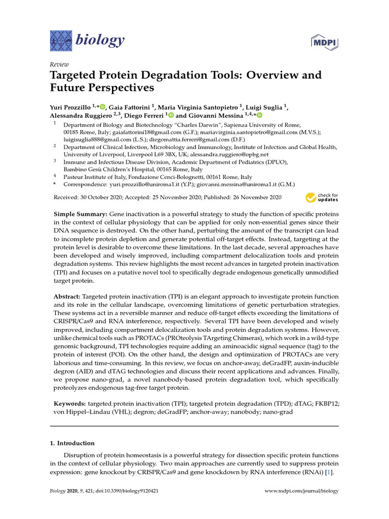 Protein Degradation Approaches | PDF | Ubiquitin | Proteasome