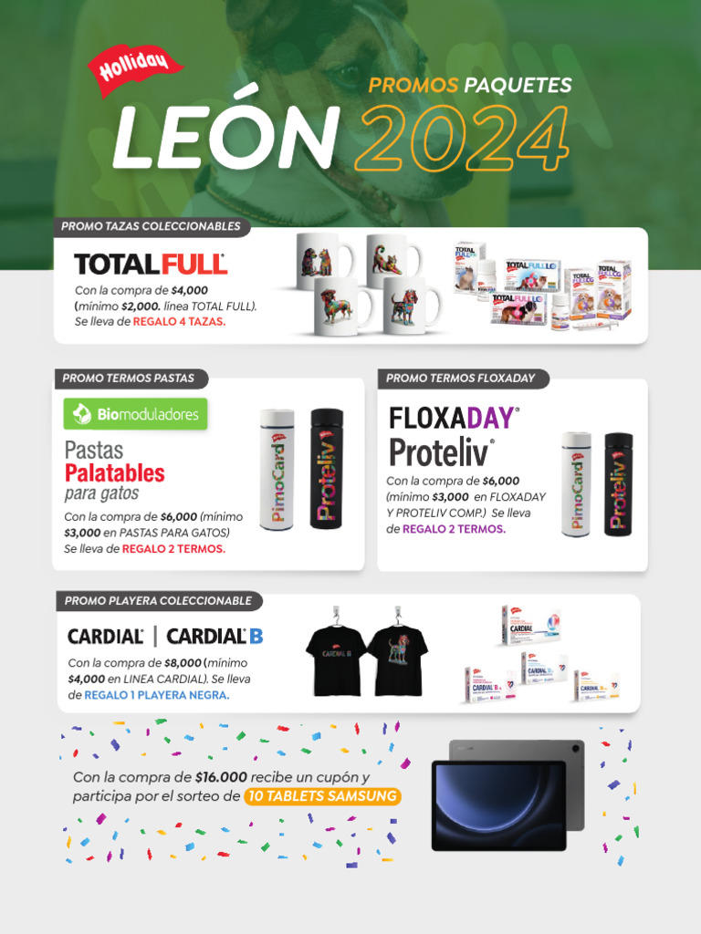 Flyer Promos Leon 2024 | PDF