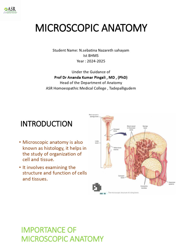 Microscopic Anatomy | PDF